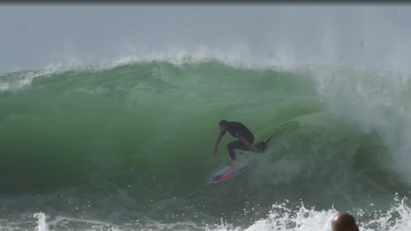Duo royal à Snapper Rocks.,