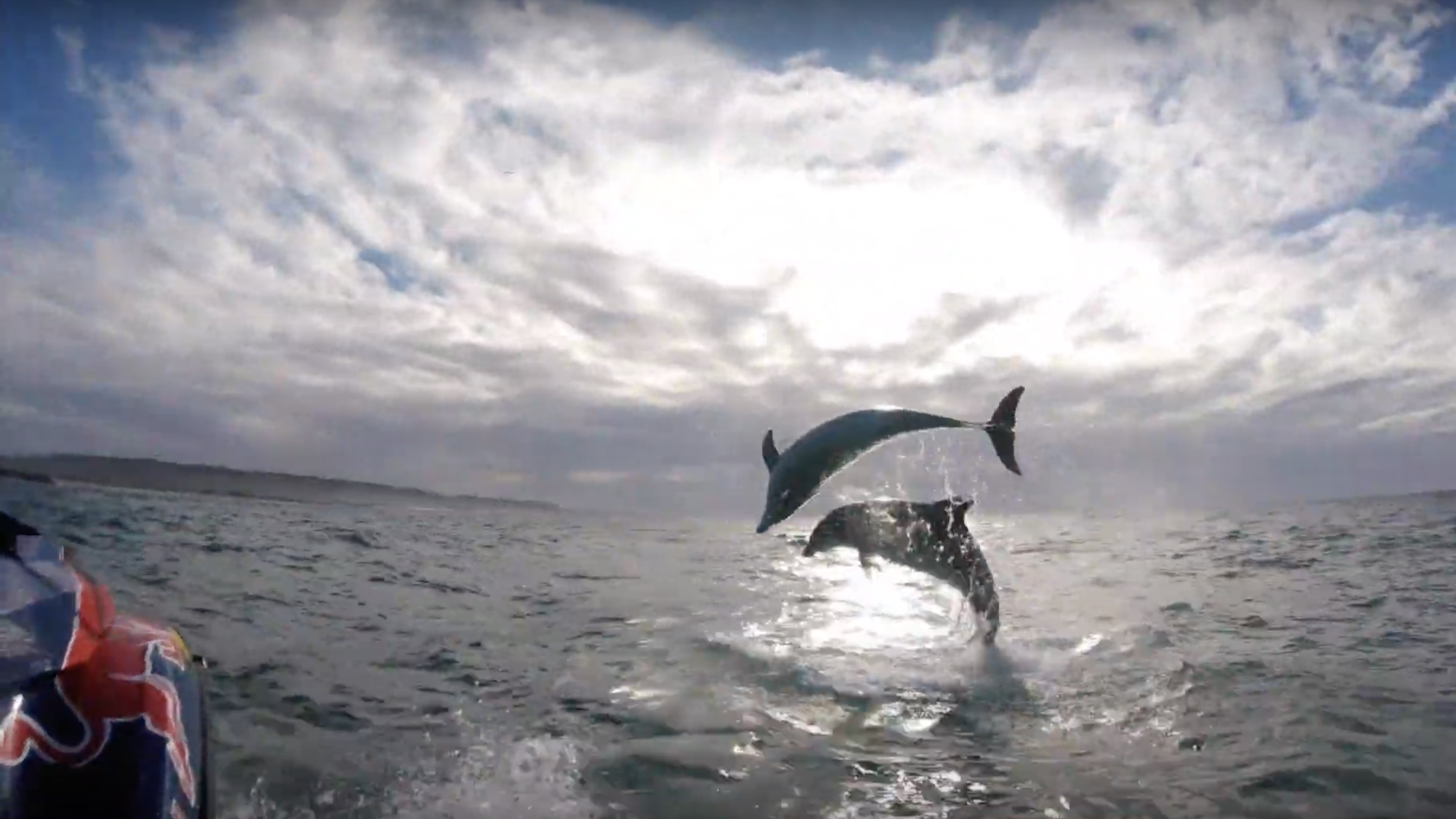 Nazaré : Justine Dupont et Fred David avec les dauphins,
