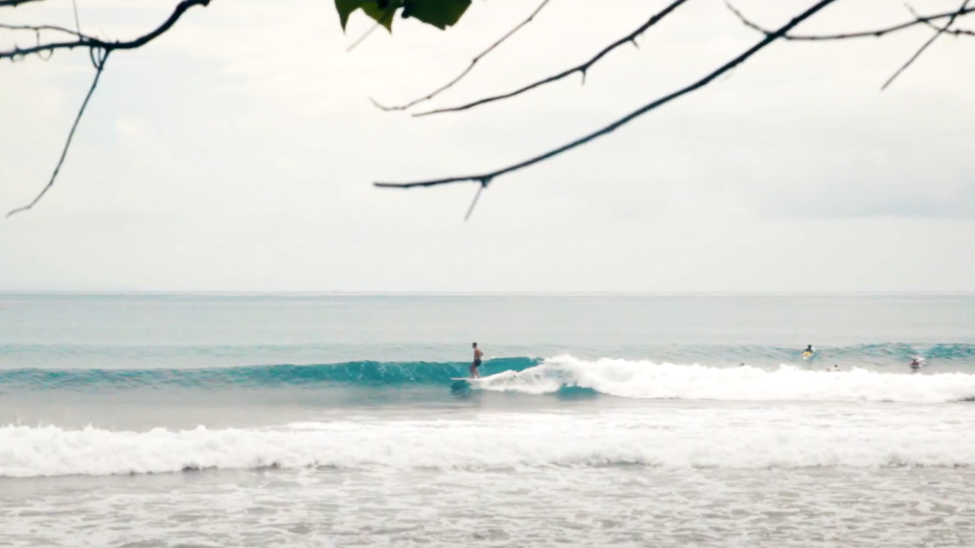 ''The Last Sunbeams Of Flow'' : un voyage au pays des rêves confinés ...