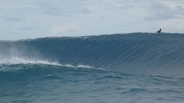 Mentawai : session de folie à Telescopes, Le jeune monteur Indie ...